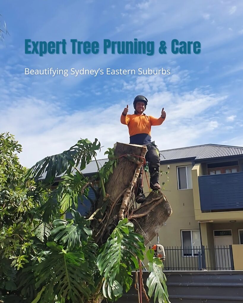 Transform Your Garden and Elevate Your Property Value! - Home Tree