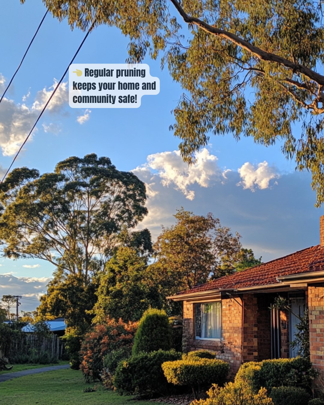 Transform Your Garden and Elevate Your Property Value! - Home Tree