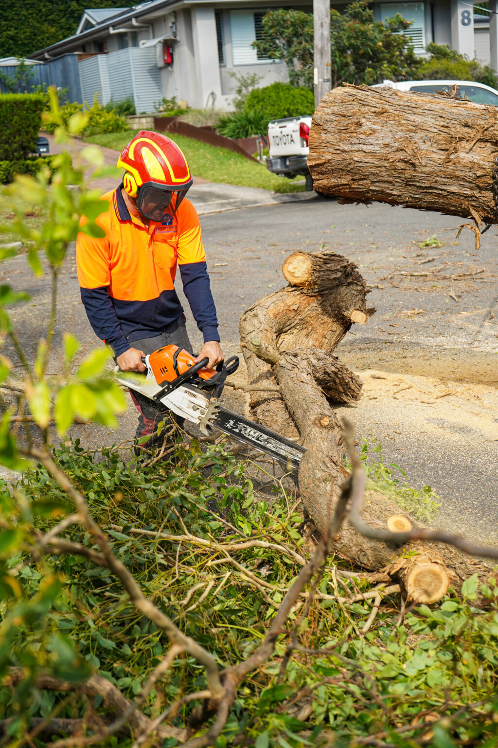 Take Care of Your Trees Before the Weather Turns - Home Tree