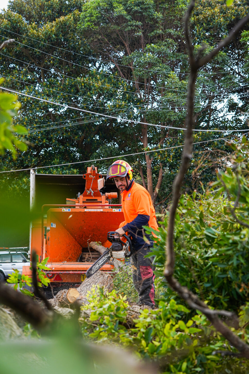 Transform Your Garden and Elevate Your Property Value in Sydney - Home Tree